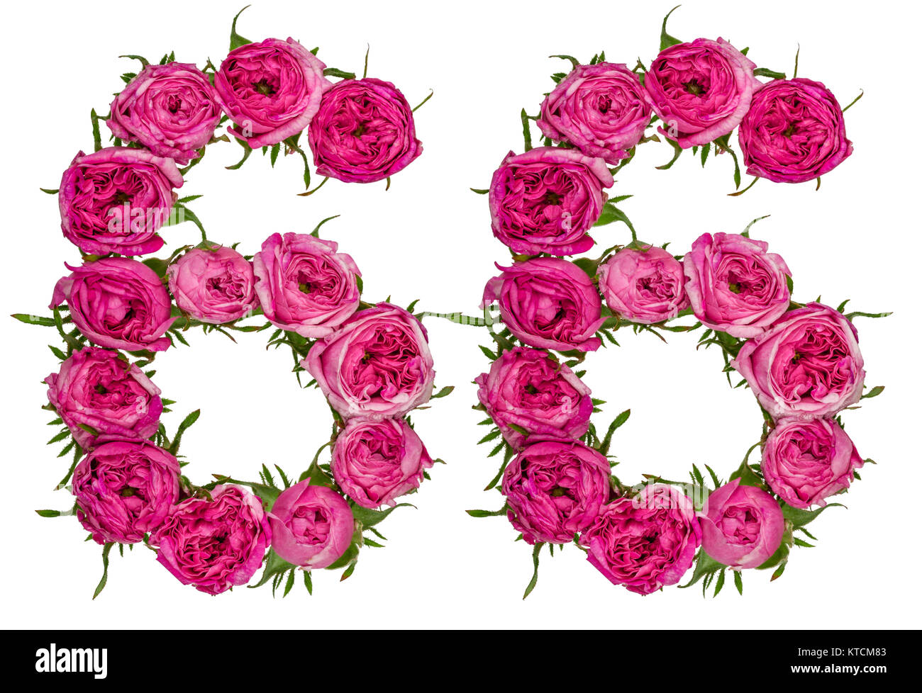 Arabic numeral 66, sixty six, from red flowers of rose, isolated on ...