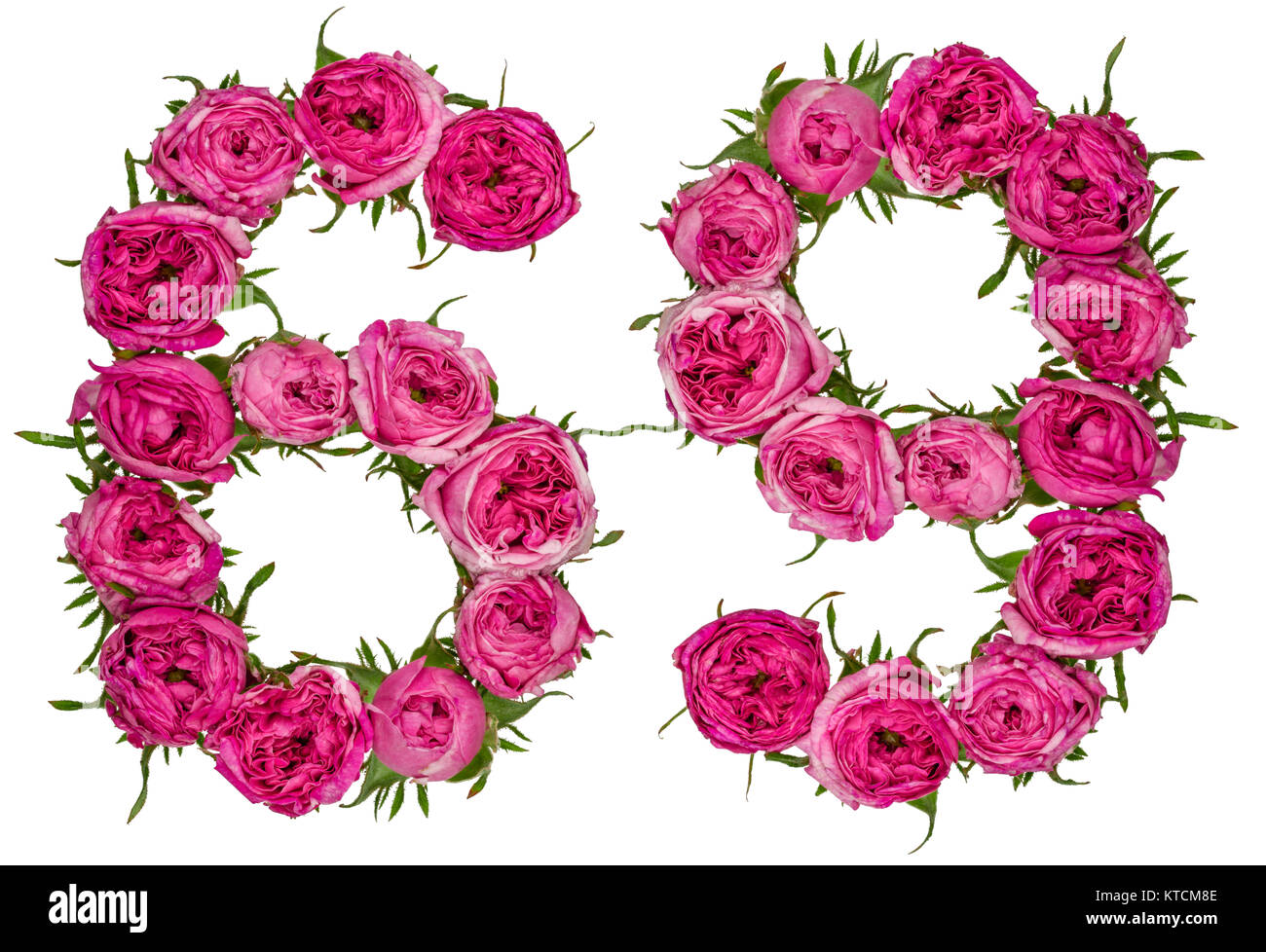 Arabic numeral 69, sixty nine, from red flowers of rose, isolated on ...