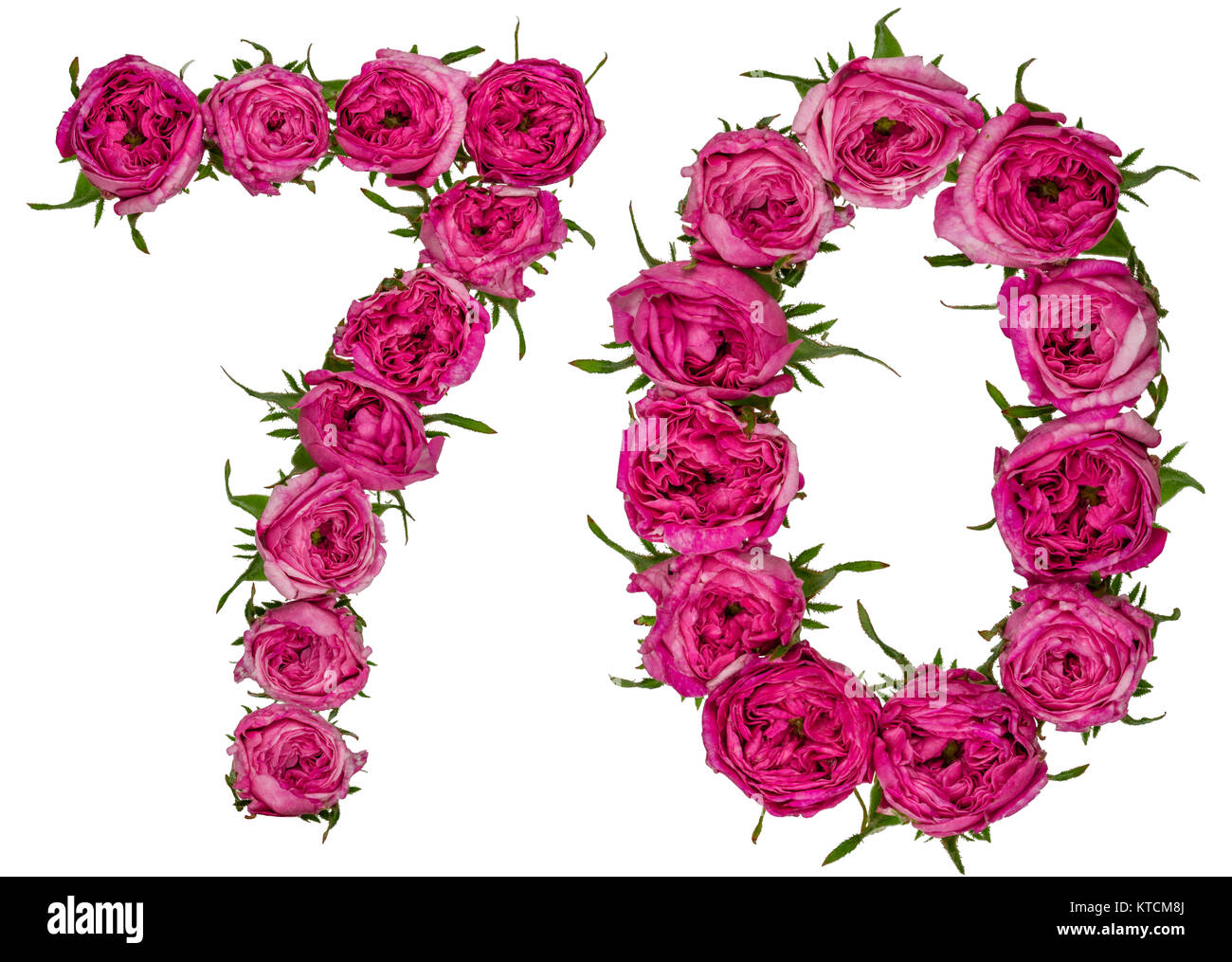 Arabic numeral 70, seventy, seven, from red flowers of rose, isolated ...
