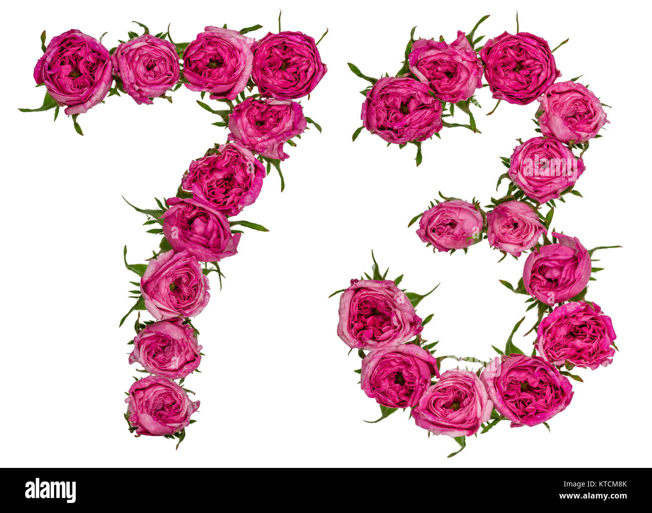 Arabic numeral 73, seventy three, from red flowers of rose, isolated on ...