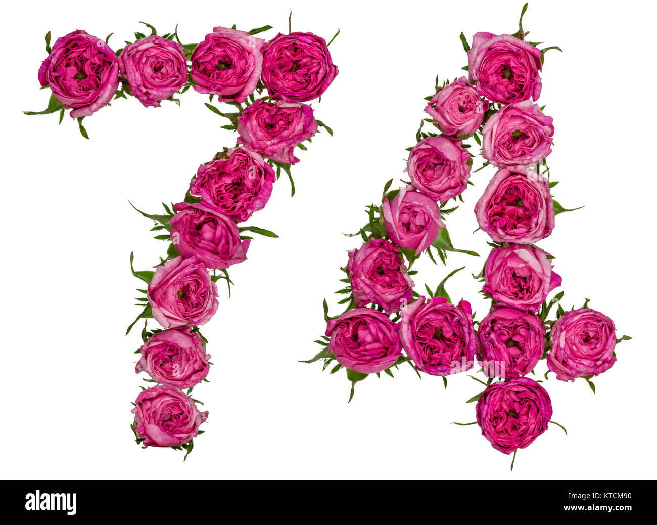 Arabic numeral 74, seventy four, from red flowers of rose, isolated on ...
