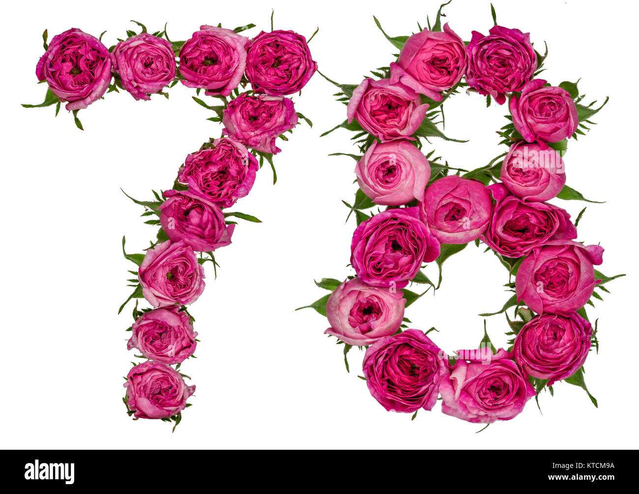 Arabic numeral 78, seventy eight, from red flowers of rose, isolated on ...