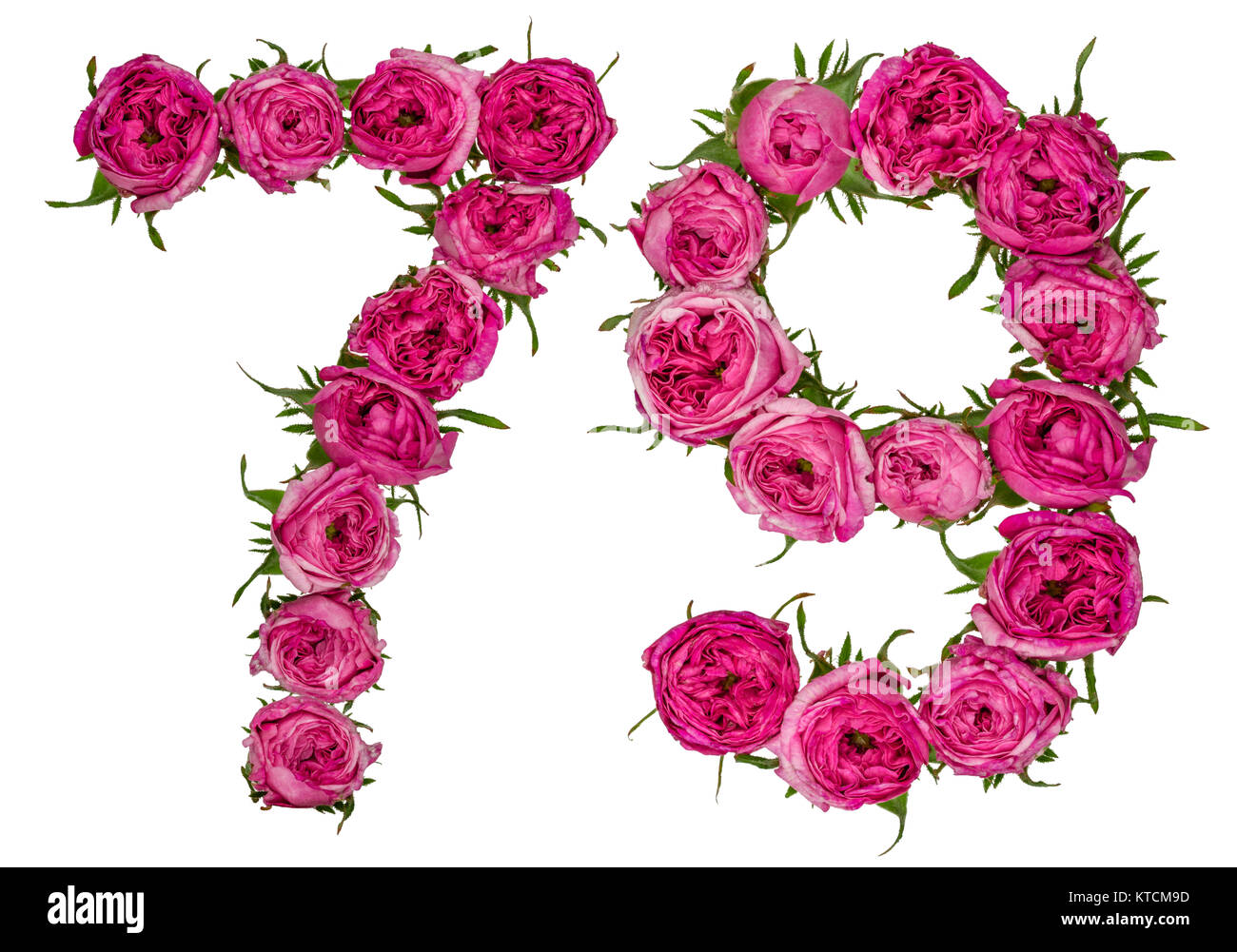 Arabic numeral 79, seventy nine, from red flowers of rose, isolated on ...