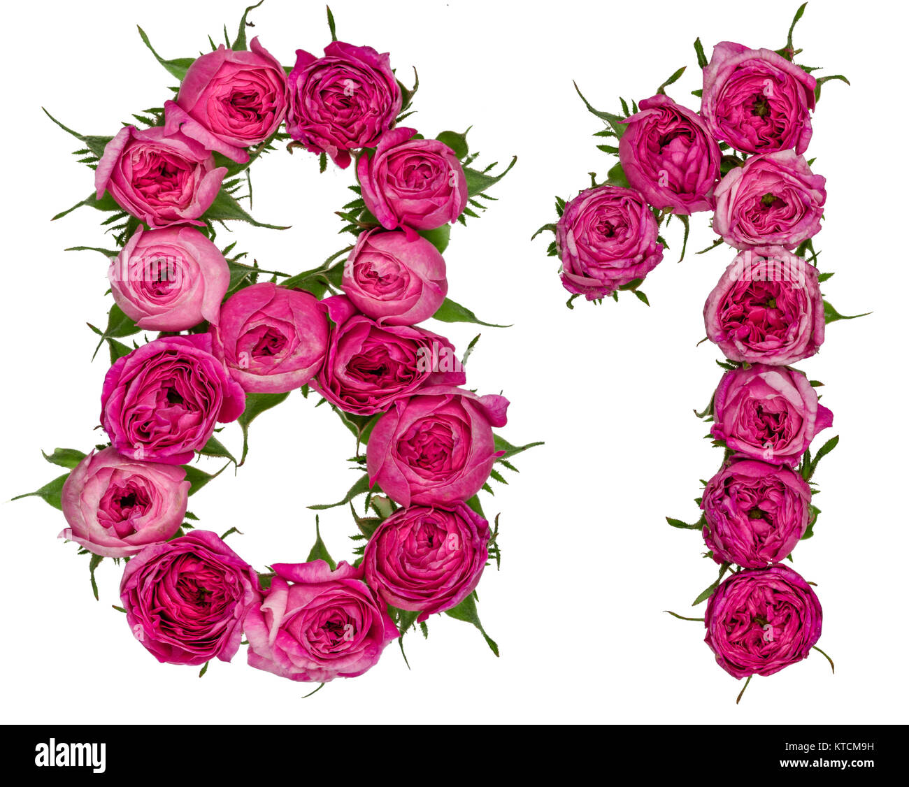 Arabic numeral 81, eighty one, from red flowers of rose, isolated on ...