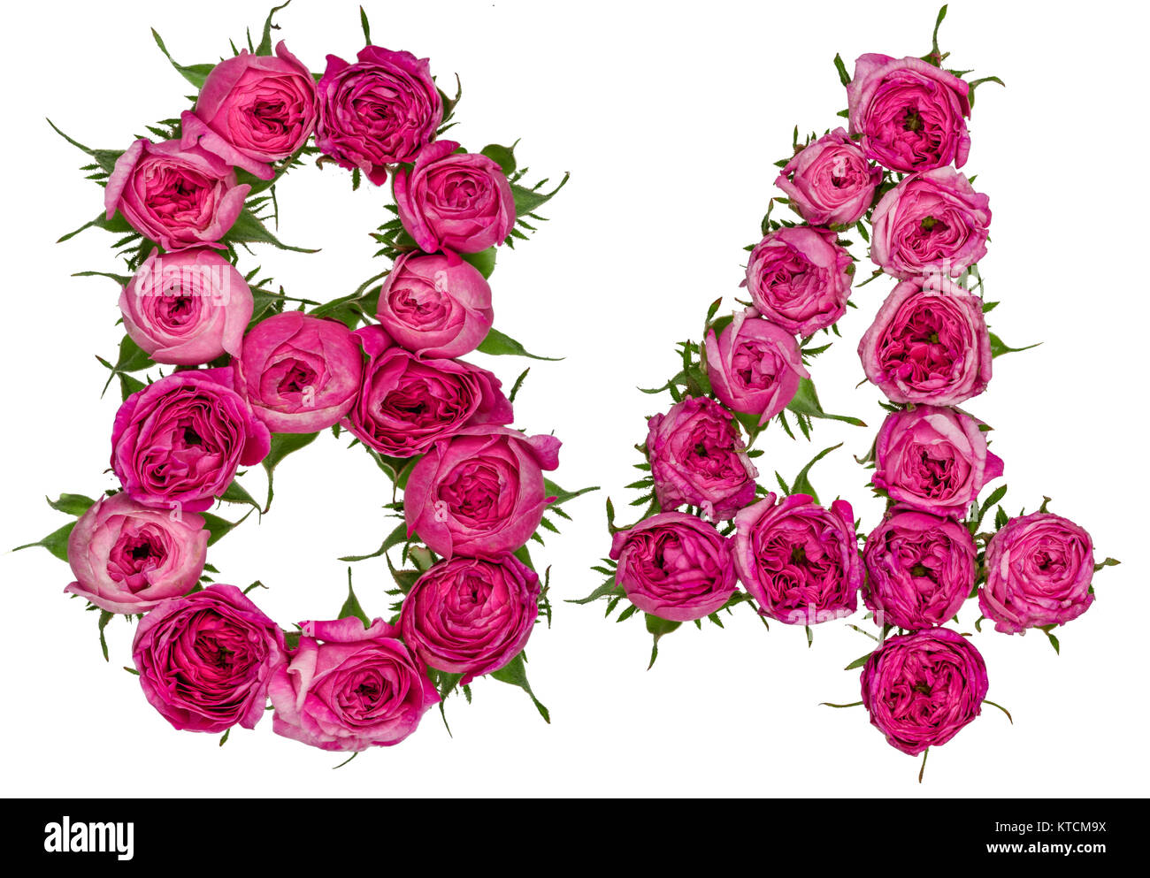 Arabic numeral 84, eighty four, from red flowers of rose, isolated on ...