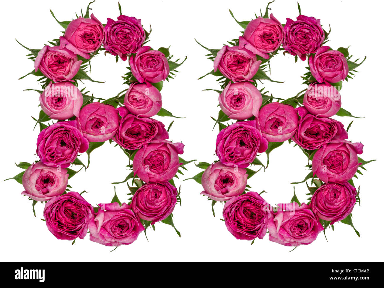 Arabic numeral 88, eighty eight, from red flowers of rose, isolated on ...