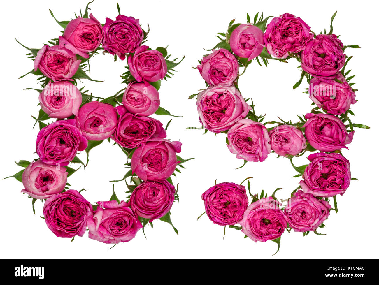 Arabic numeral 89, eighty nine, from red flowers of rose, isolated on ...