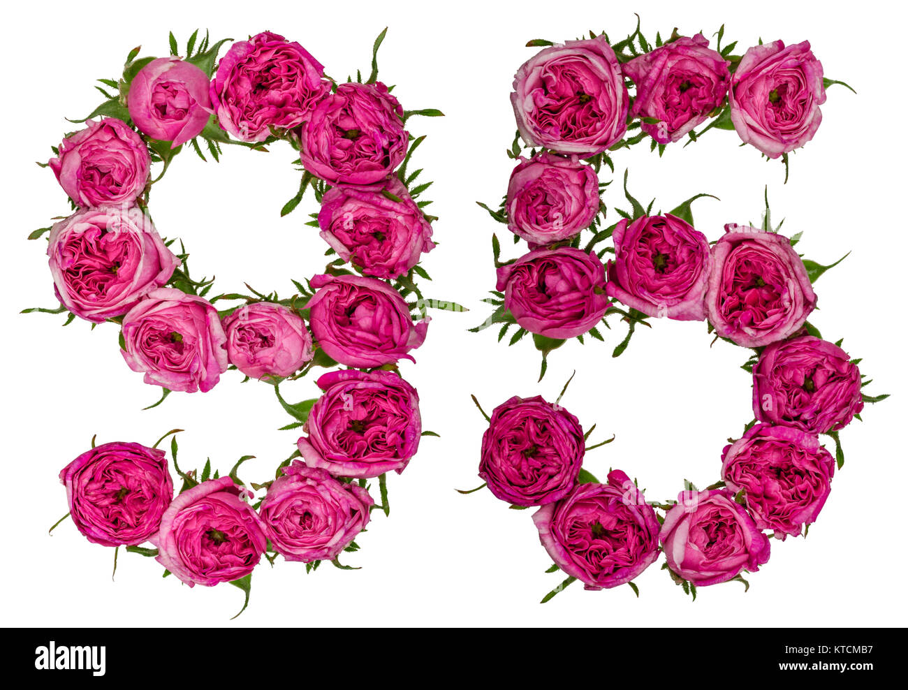 Arabic numeral 95, ninety five, from red flowers of rose, isolated on ...