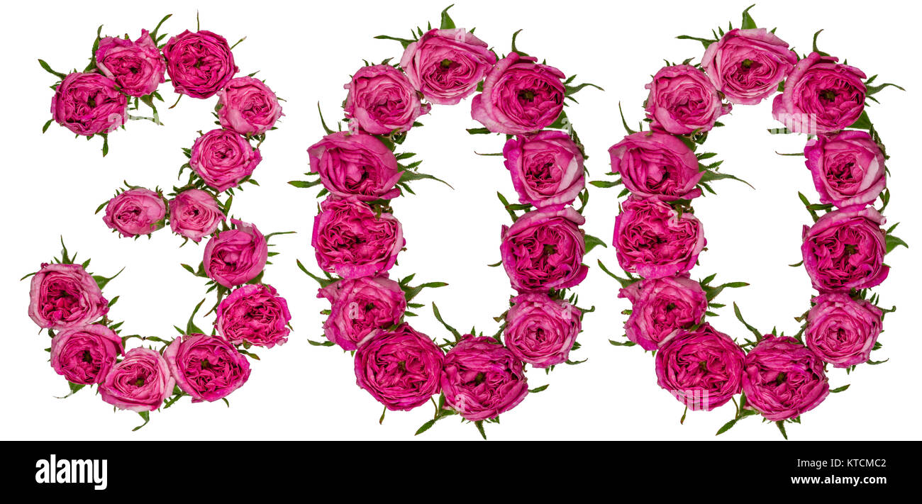 Arabic numeral 300, three hundred, from red flowers of rose, isolated ...
