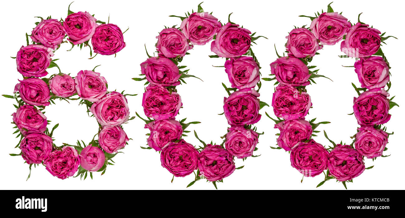 Arabic numeral 600, six hundred, from red flowers of rose, isolated on ...