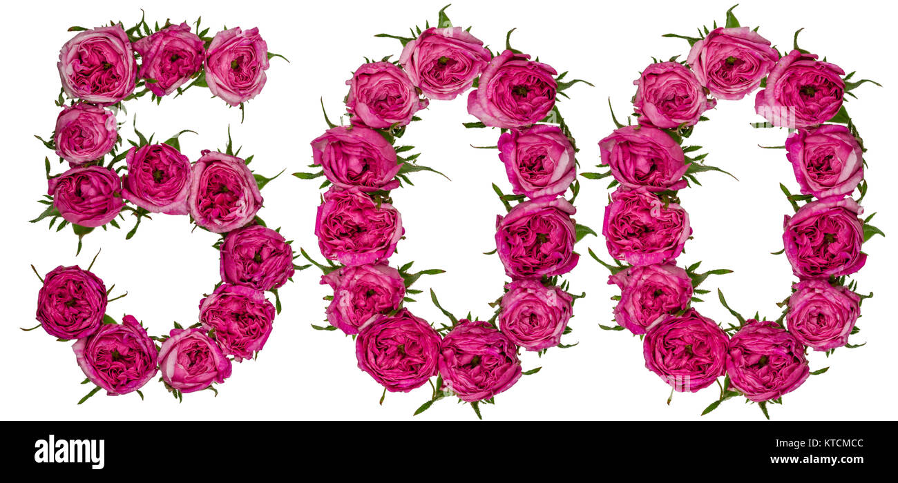 Arabic numeral 500, five hundred, from red flowers of rose, isolated on ...