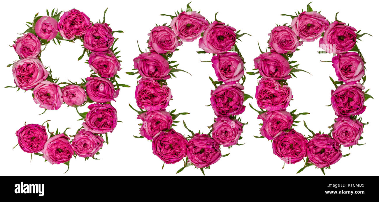 Arabic numeral 900, nine hundred, from red flowers of rose, isolated on ...