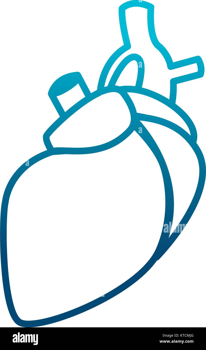 Human heart symbol Stock Vector Image & Art - Alamy