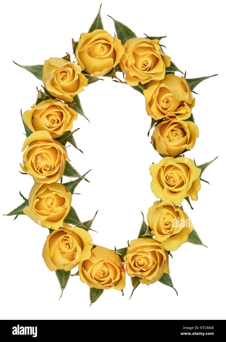 Arabic numeral 0, zero, from yellow flowers of rose, isolated on white ...