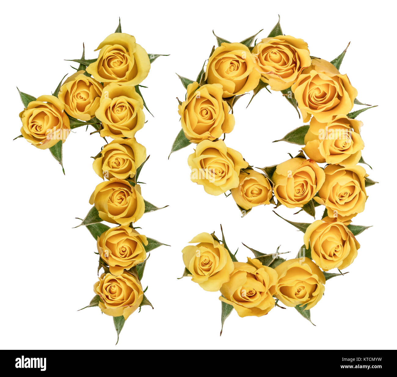 Arabic numeral 19, nineteen, from yellow flowers of rose, isolated on ...