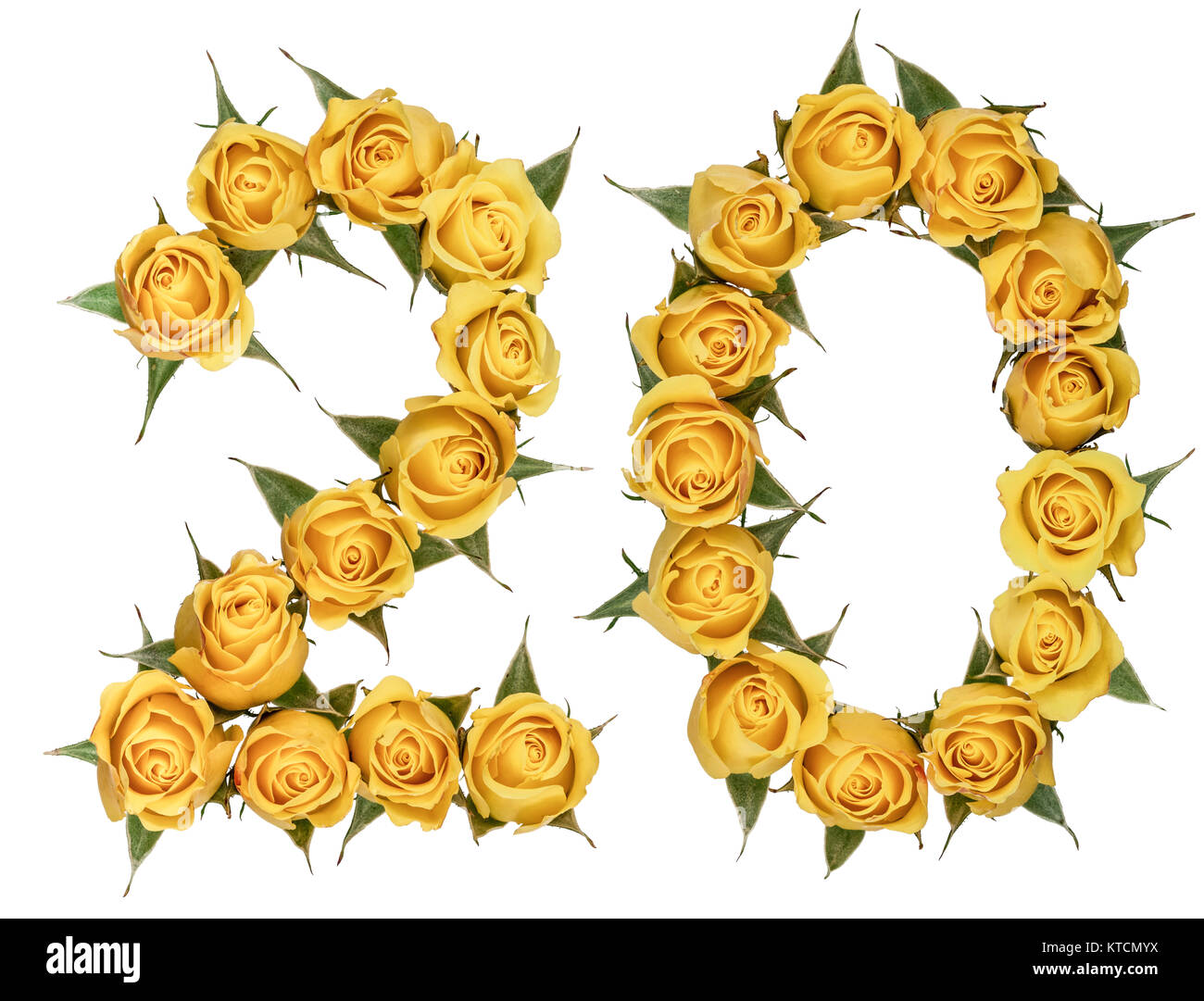 Arabic numeral 20, twenty, from yellow flowers of rose, isolated on ...