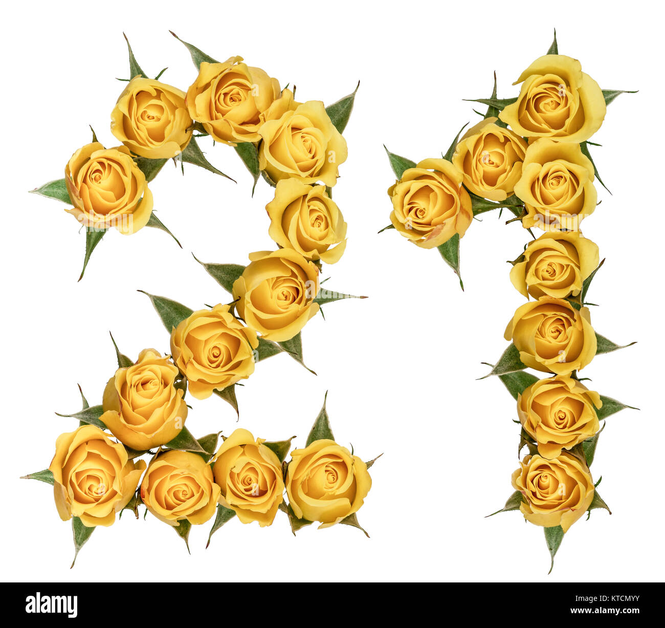 Arabic numeral 21, twenty one, from yellow flowers of rose, isolated on ...