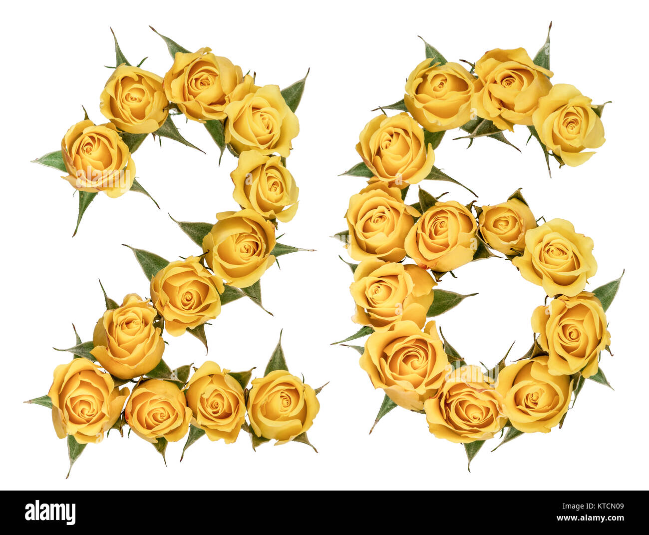 Arabic numeral 26, twenty six, from yellow flowers of rose, isolated on ...