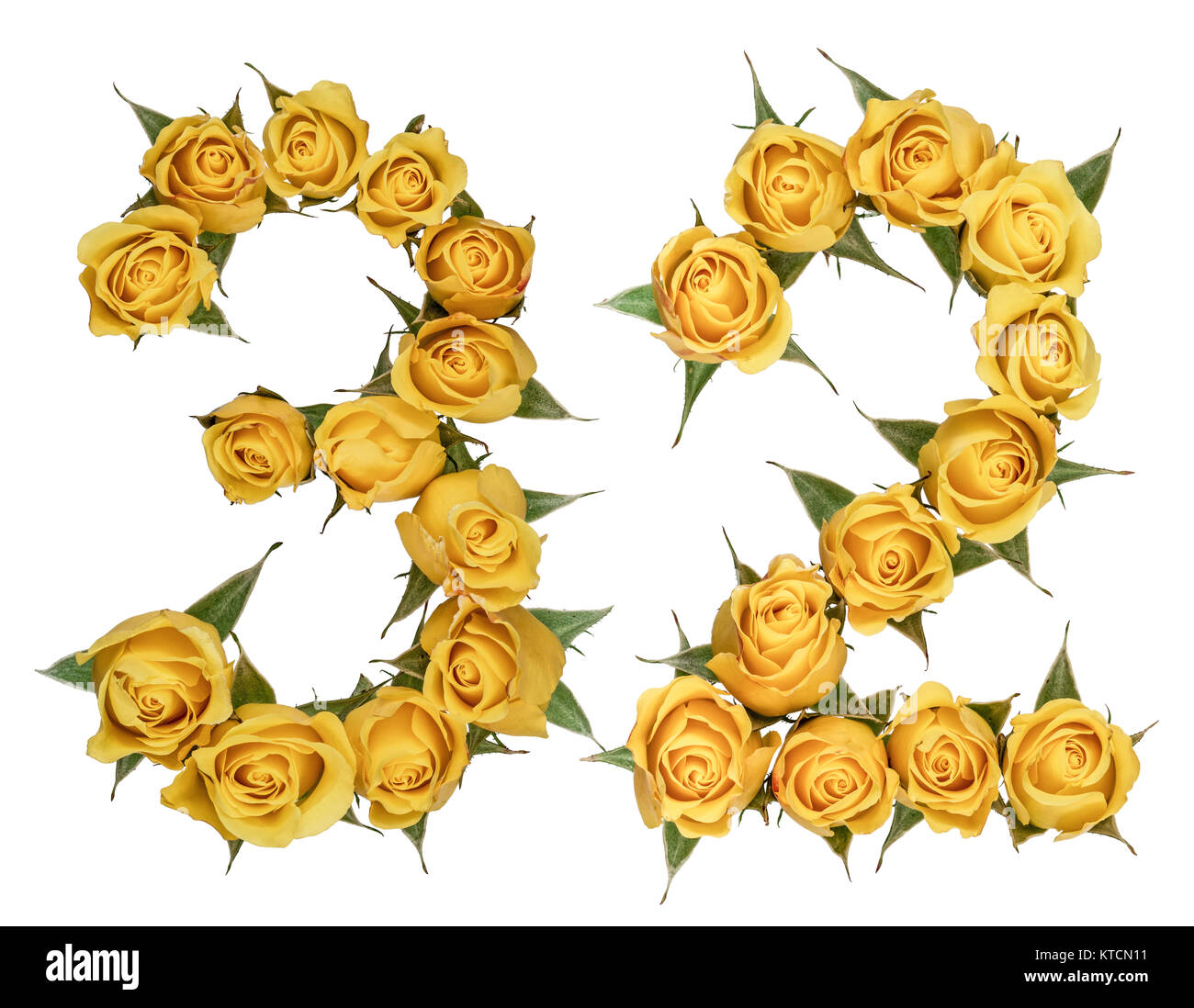 Arabic numeral 32, thirty two, from yellow flowers of rose, isolated on ...