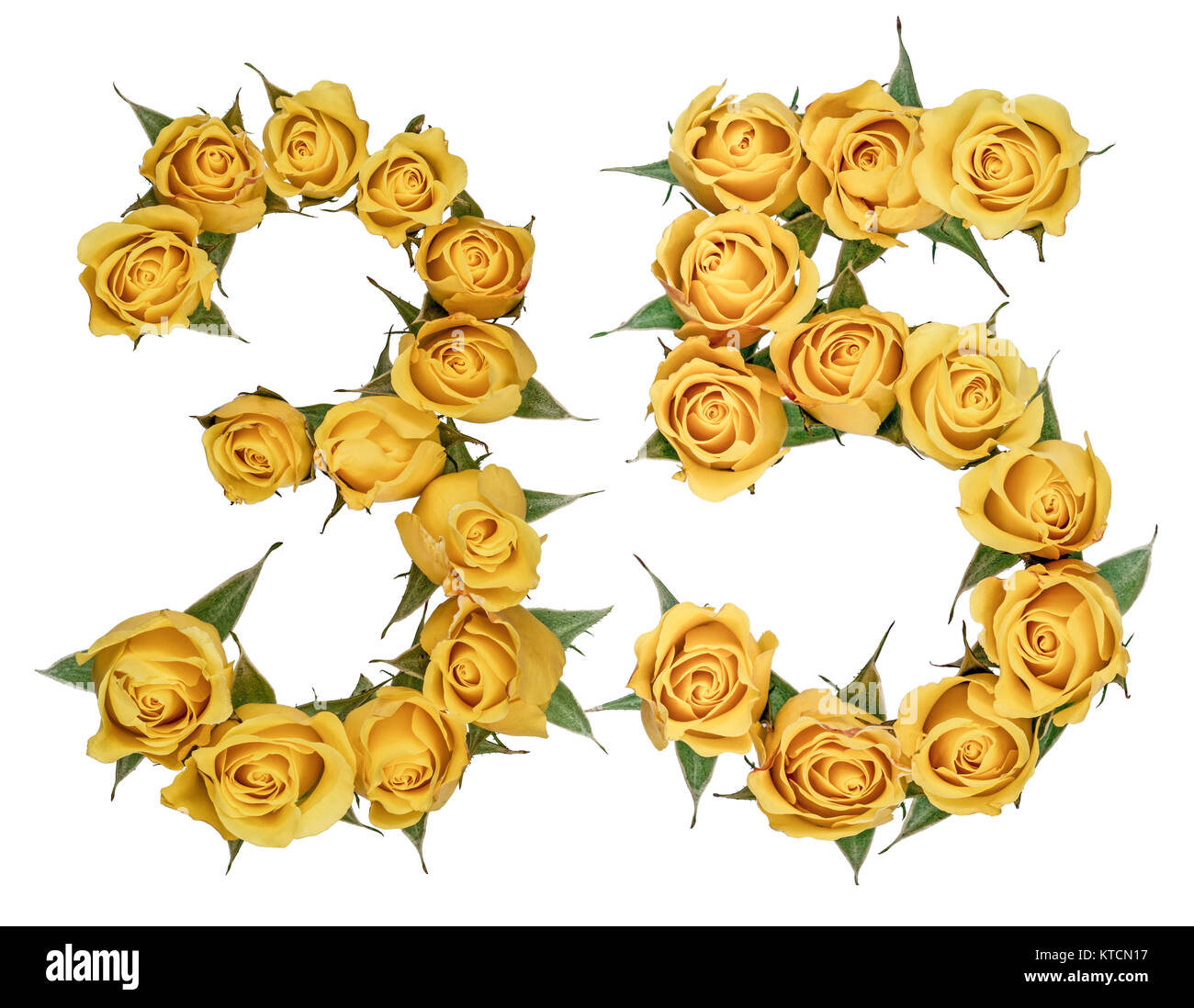 Arabic numeral 35, thirty five, from yellow flowers of rose, isolated ...