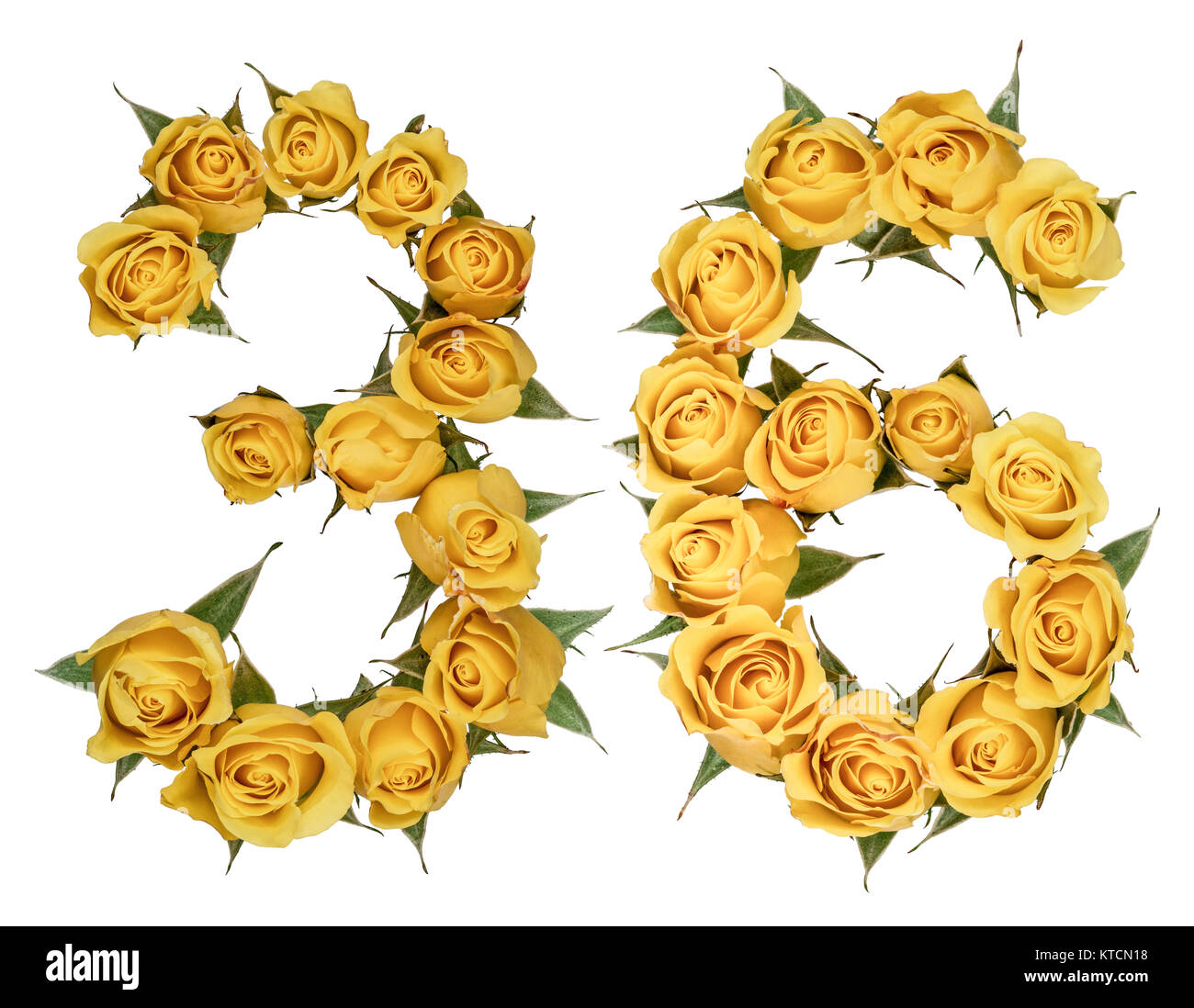 Arabic numeral 36, thirty six, from yellow flowers of rose, isolated on ...