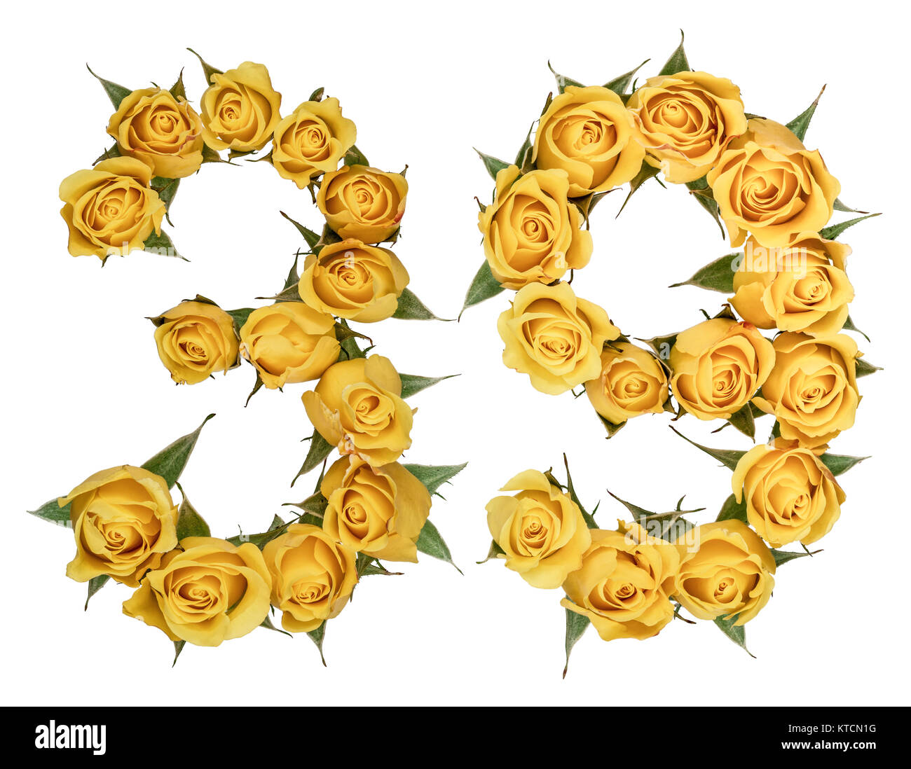 Arabic numeral 39, thirty nine, from yellow flowers of rose, isolated ...