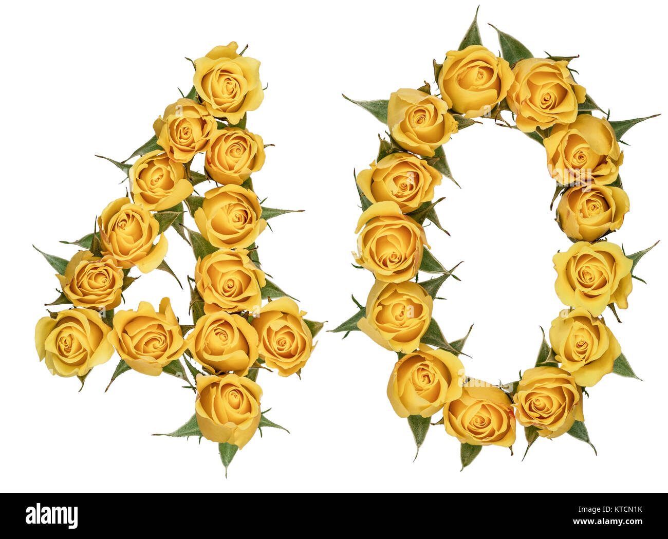 Arabic numeral 40, forty, from yellow flowers of rose, isolated on ...