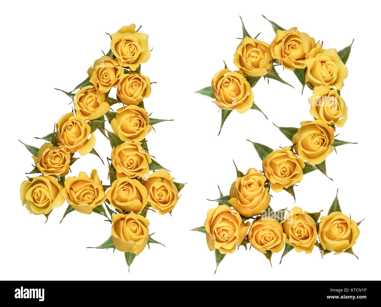 Arabic numeral 42, forty two, from yellow flowers of rose, isolated on ... Arabic numeral 42, forty two, from yellow flowers of rose, isolated on ...