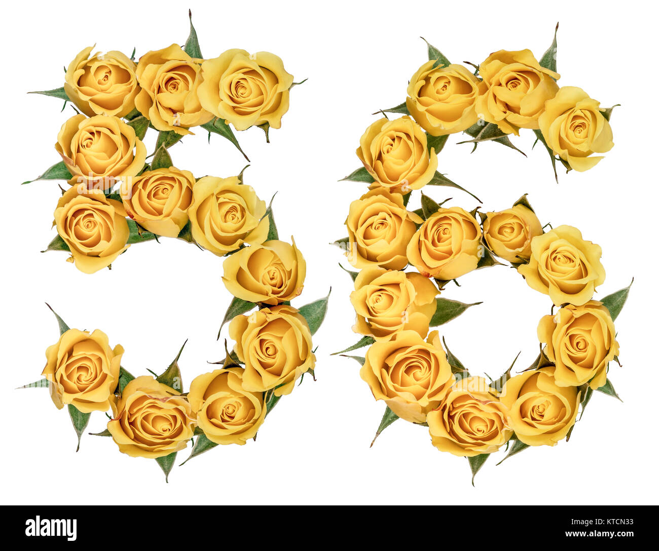 Arabic numeral 56, fifty six, from yellow flowers of rose, isolated on ...