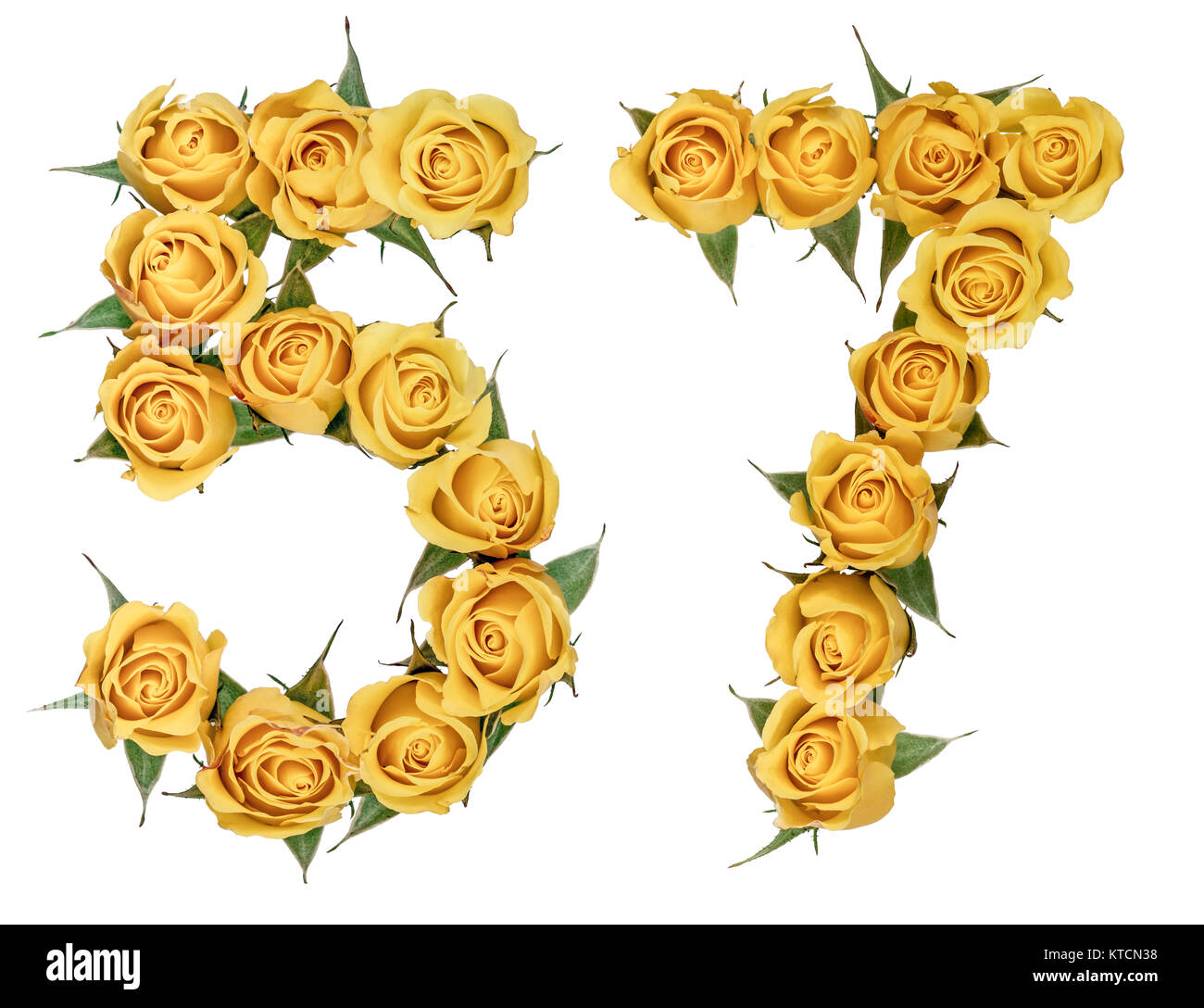Arabic numeral 57, fifty seven, from yellow flowers of rose, isolated ...