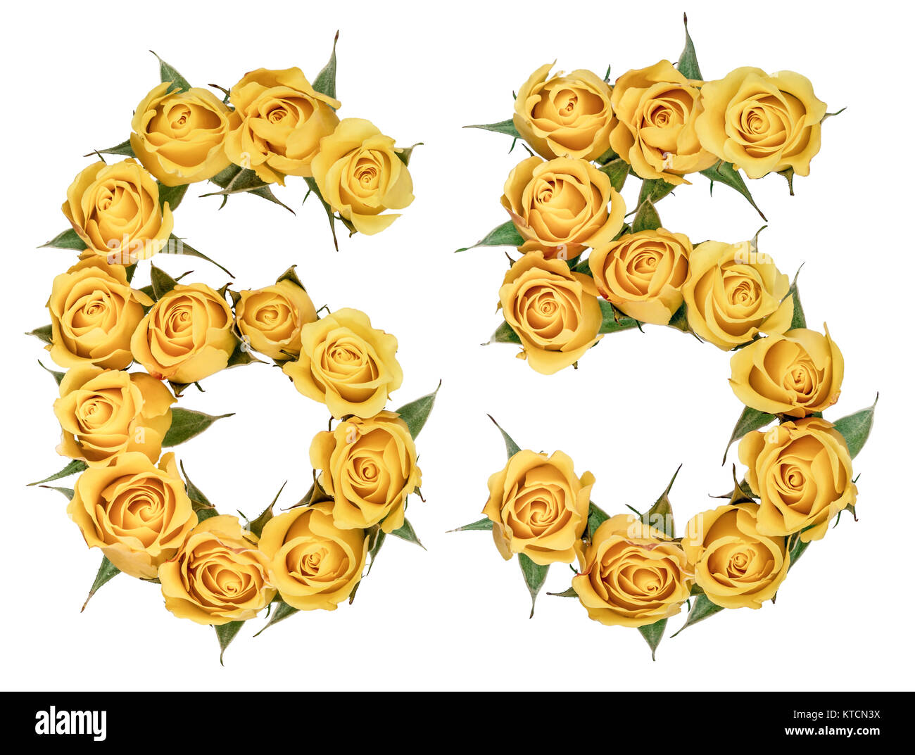 Arabic numeral 65, sixty five, from yellow flowers of rose, isolated on ...