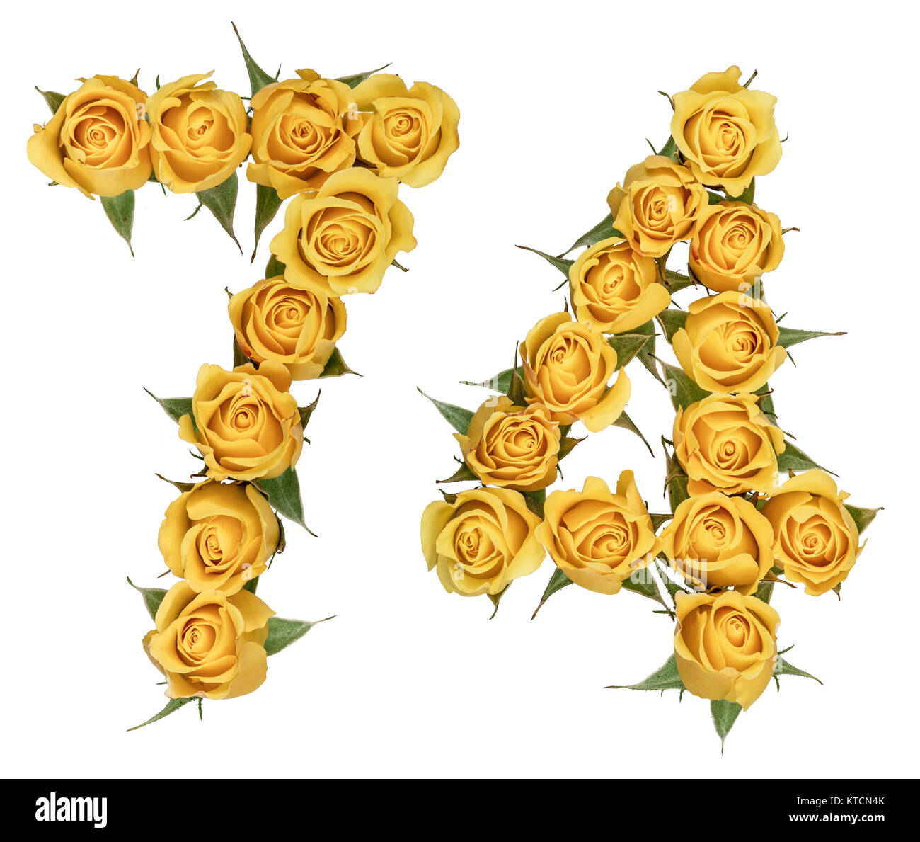 Arabic numeral 74, seventy four, from yellow flowers of rose, isolated ...