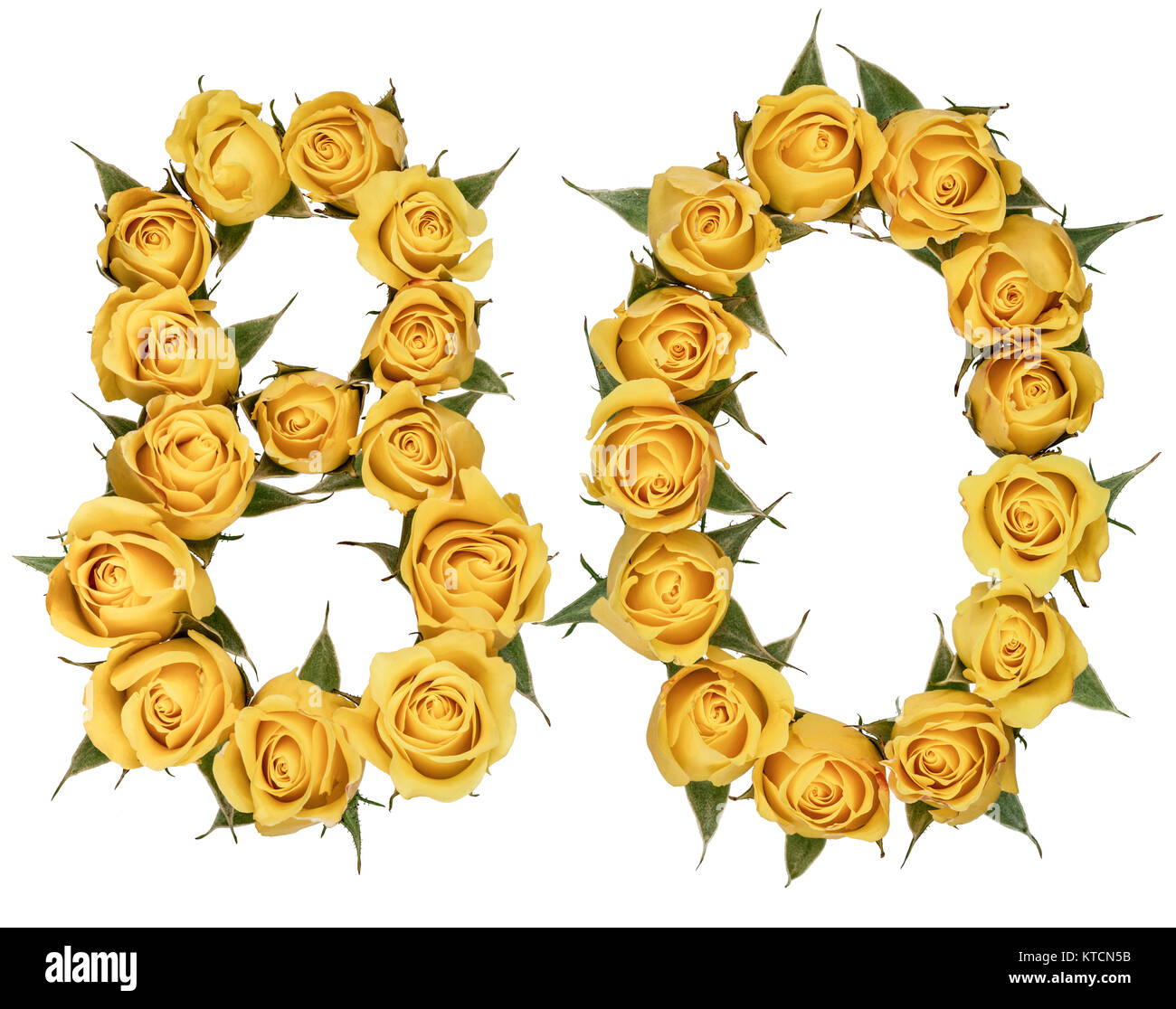 Arabic numeral 80, eighty, from yellow flowers of rose, isolated on ...