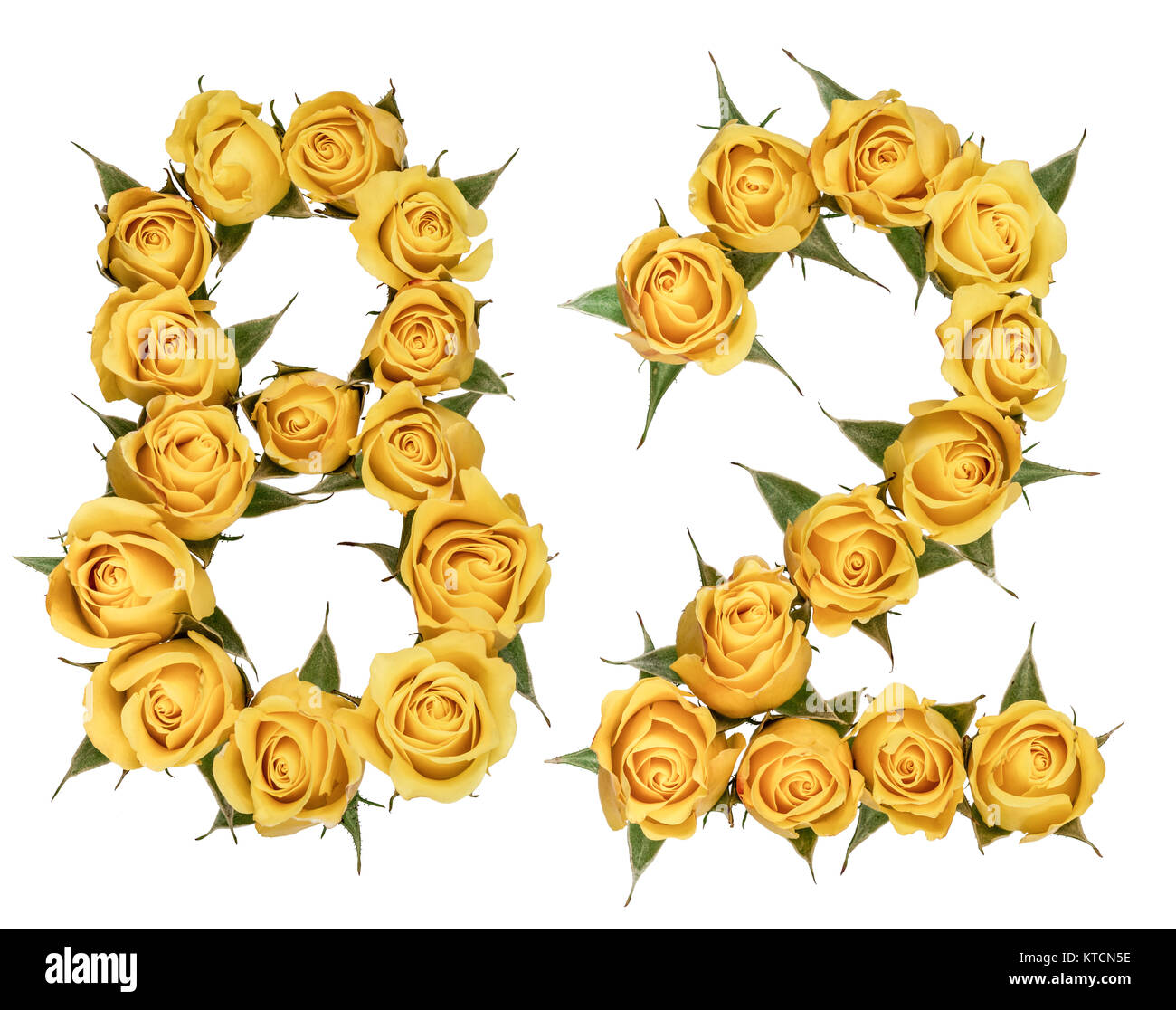 Arabic numeral 82, eighty two, from yellow flowers of rose, isolated on ...