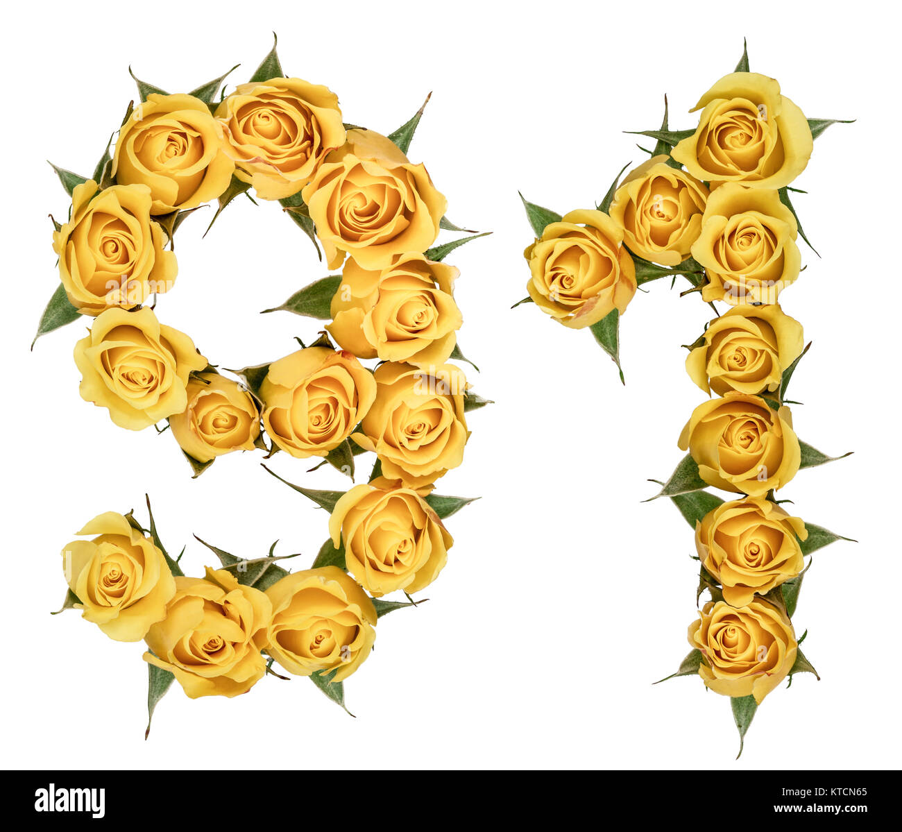 Arabic numeral 91, ninety one, from yellow flowers of rose, isolated on ...