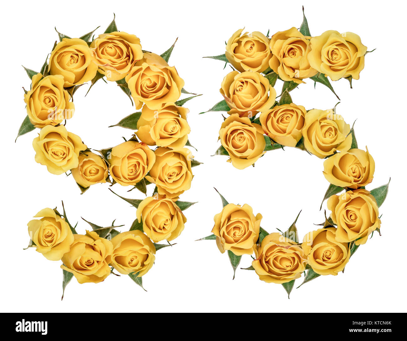 Arabic numeral 95, ninety five, from yellow flowers of rose, isolated ...