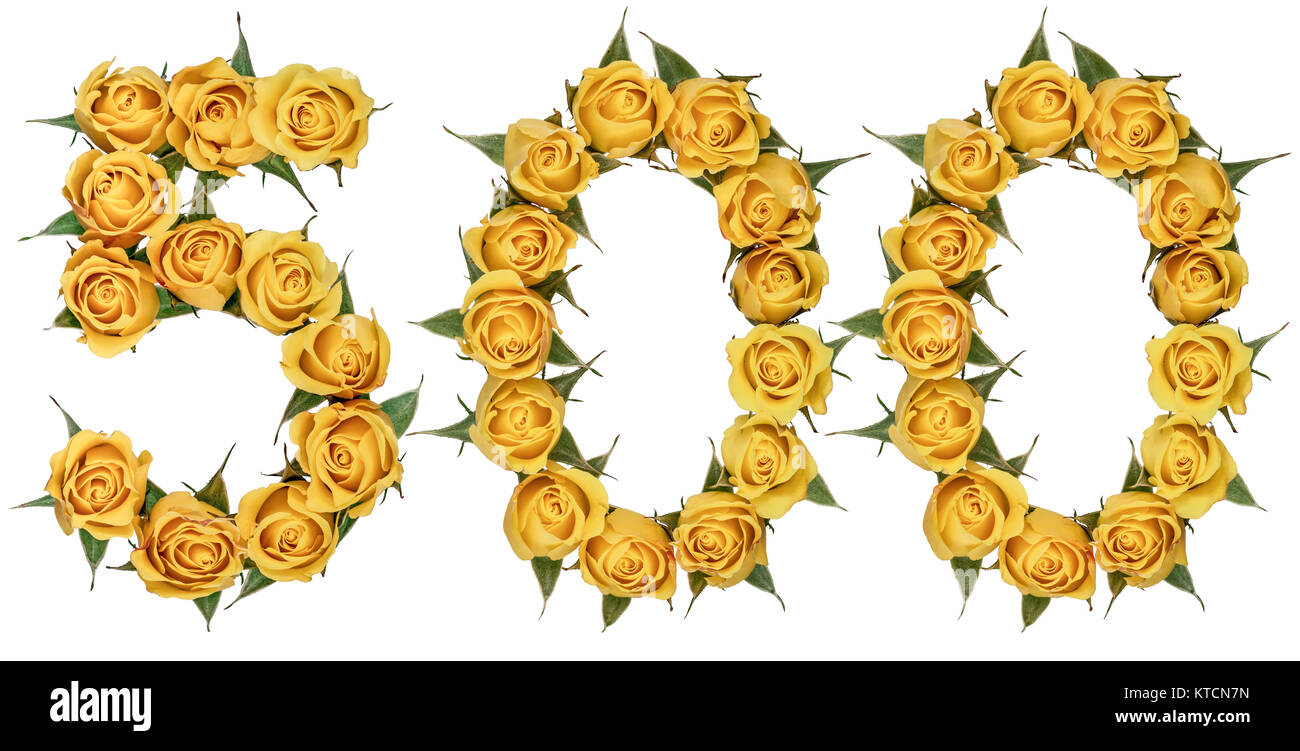 Arabic numeral 500, five hundred, from yellow flowers of rose, isolated ...