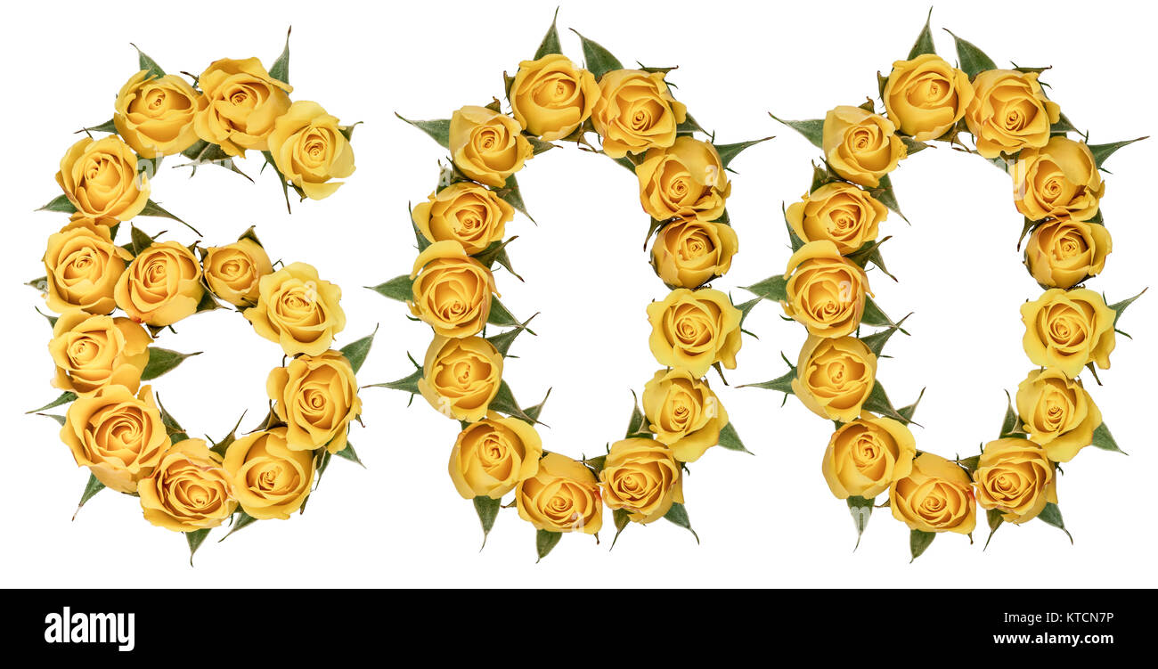 Arabic numeral 600, six hundred, from yellow flowers of rose, isolated ...