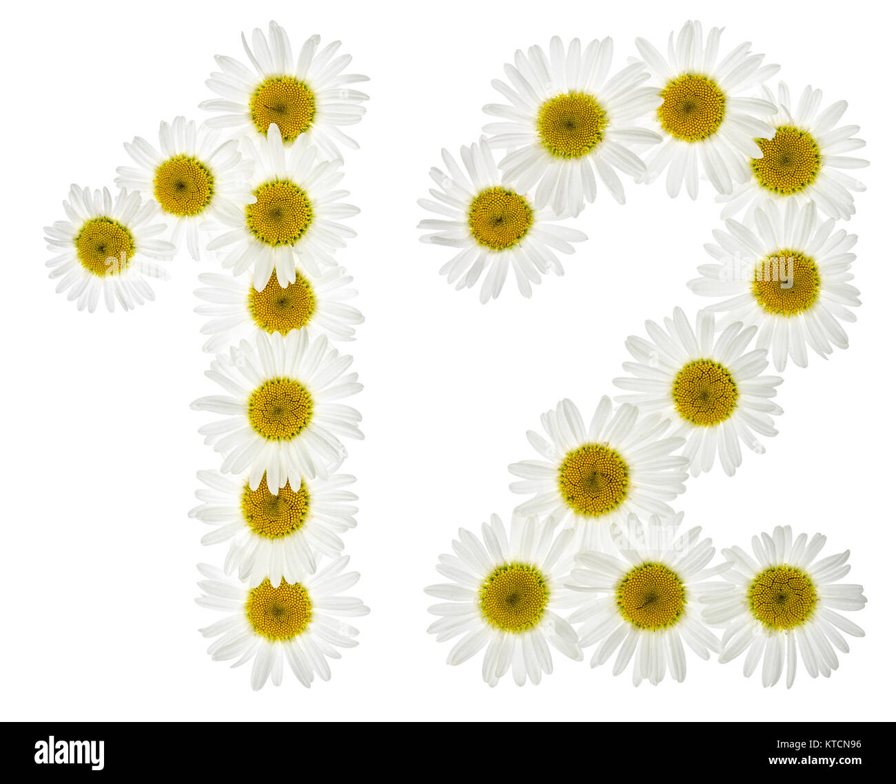 Arabic numeral 12, twelve, from white flowers of chamomile, isolated on ...