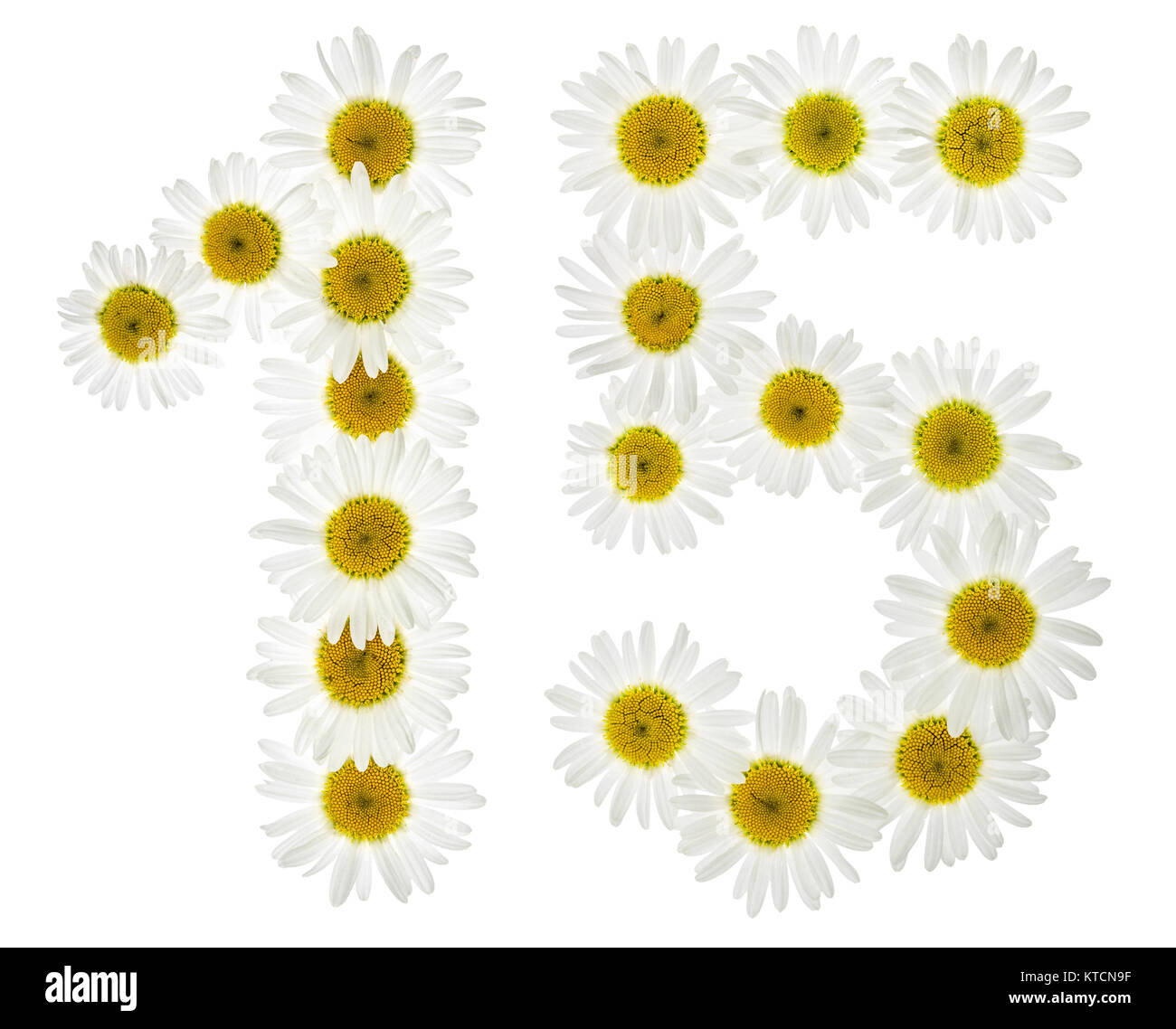 Arabic numeral 15, fifteen, from white flowers of chamomile, isolated ...