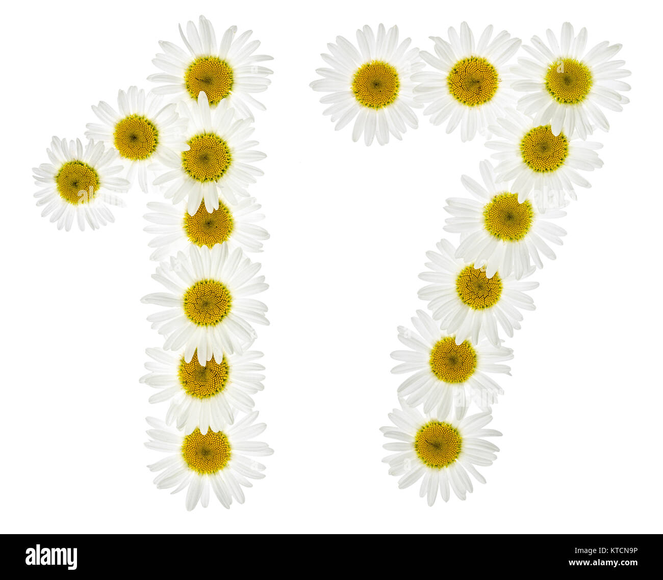 Arabic numeral 17, seventeen, from white flowers of chamomile, isolated ...