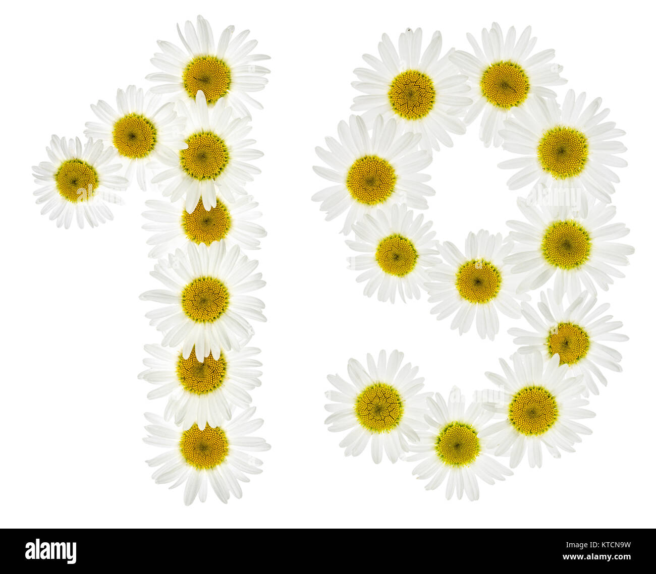 Arabic numeral 19, nineteen, from white flowers of chamomile, isolated ...