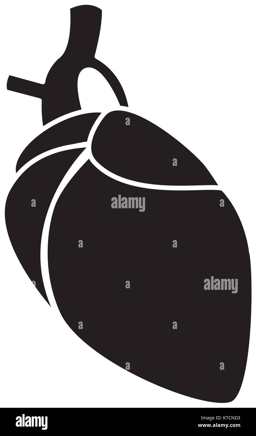 Human heart symbol Stock Vector Image & Art - Alamy