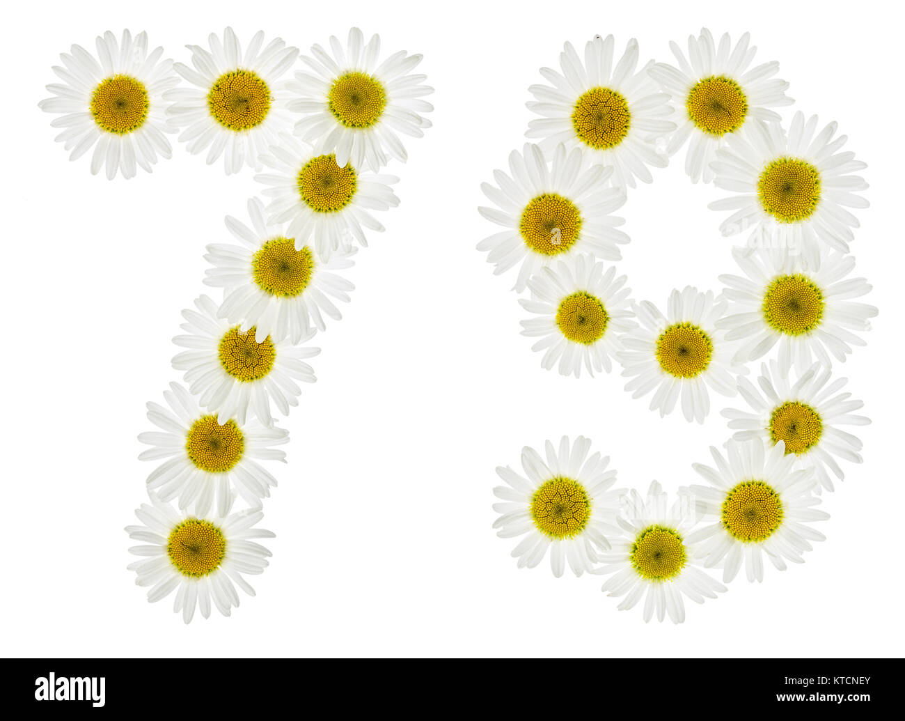 Arabic numeral 79, seventy nine, from white flowers of chamomile ...