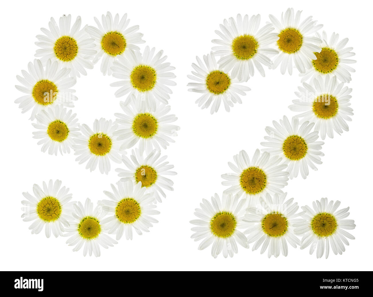 Arabic numeral 92, ninety two, from white flowers of chamomile ...