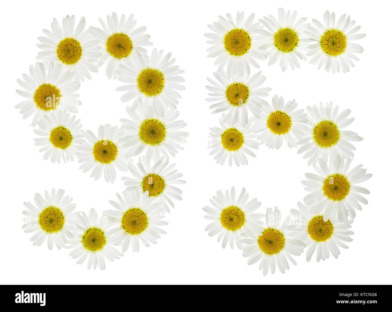 Arabic numeral 95, ninety five, from white flowers of chamomile ...