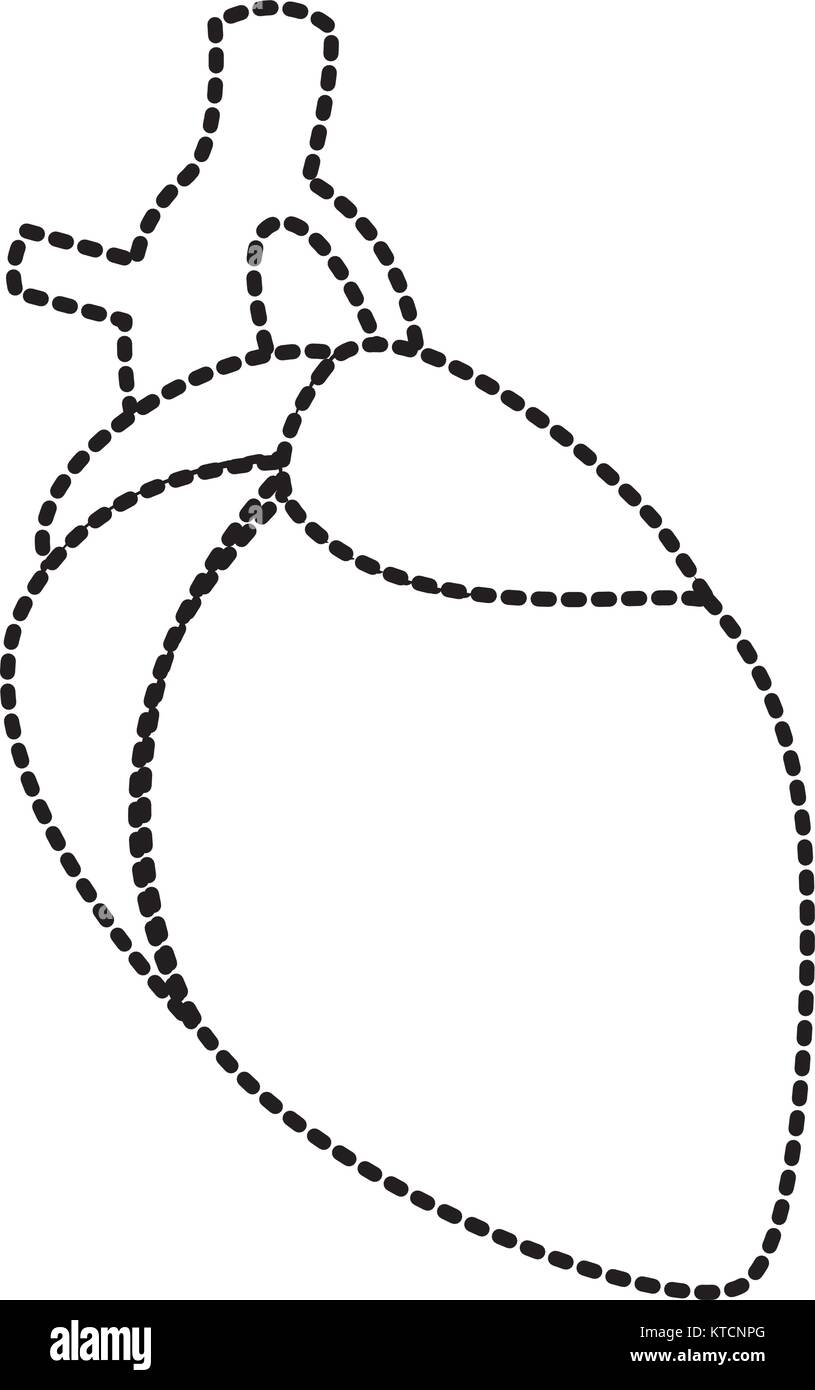 Human heart symbol Stock Vector Image & Art - Alamy