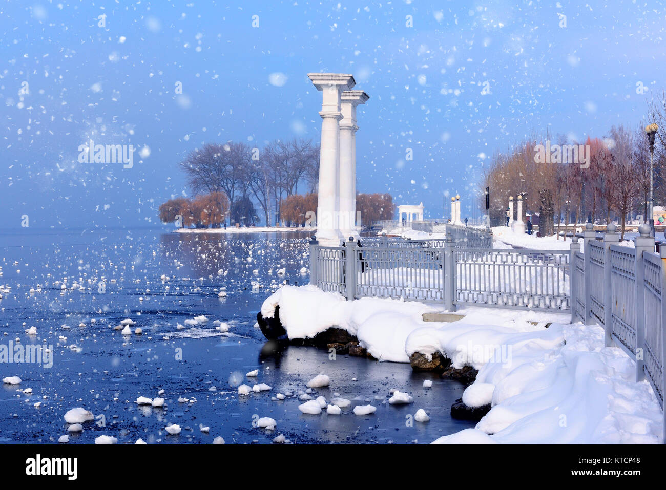 Covered path walkway light nature hi-res stock photography and images ...
