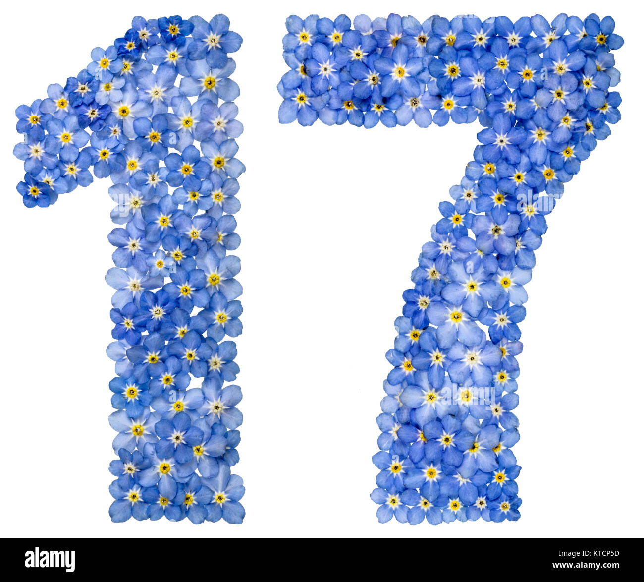 Arabic numeral 17, seventeen, from blue forget-me-not flowers, isolated ...