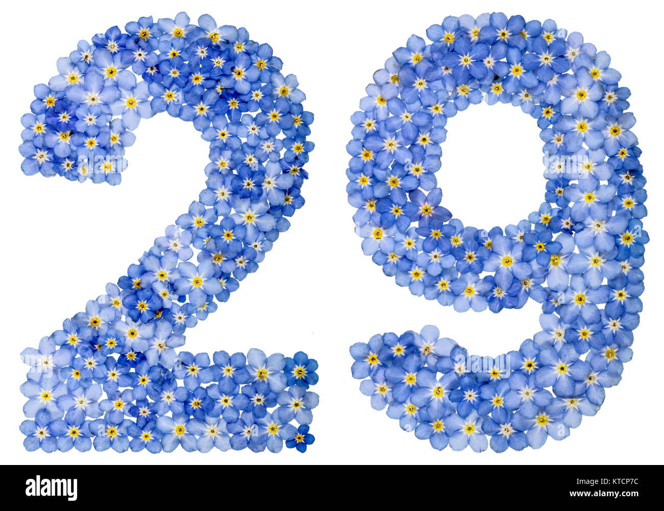 Arabic numeral 29, twenty nine, from blue forget-me-not flowers ...